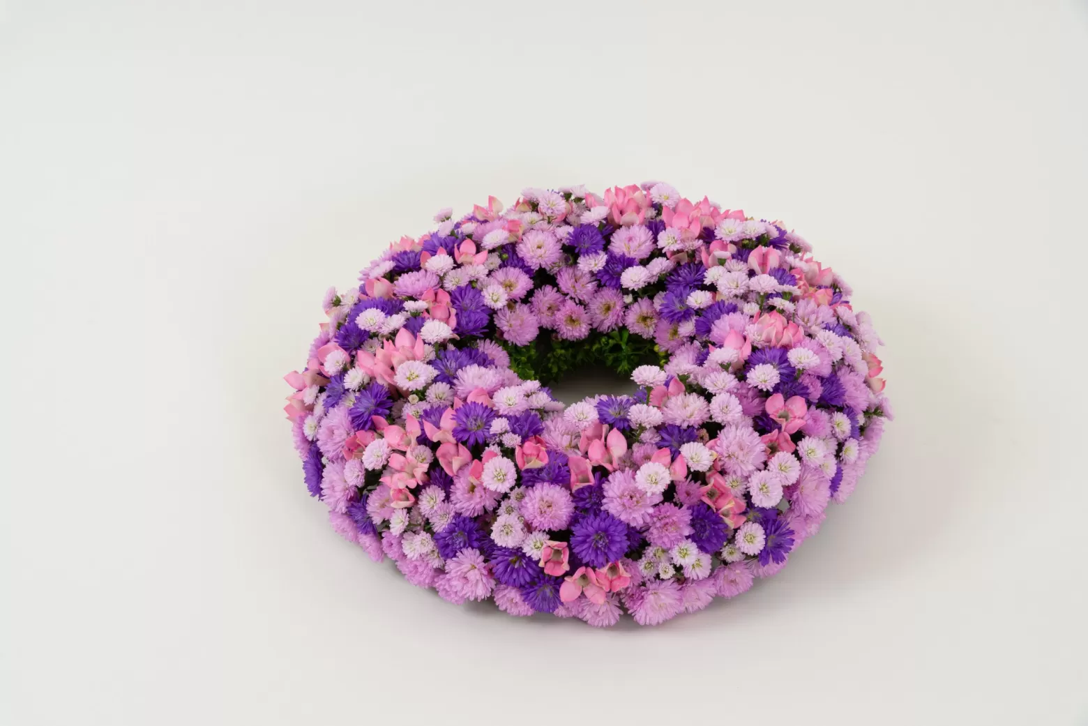 Aster Double Date Pink | Marginpar